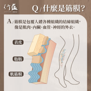 行蘊QA｜什麼是筋膜？ - 行蘊｜健康能量會館